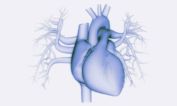Find Cardiovascular Care in Central FL for Your Path to Heart Health